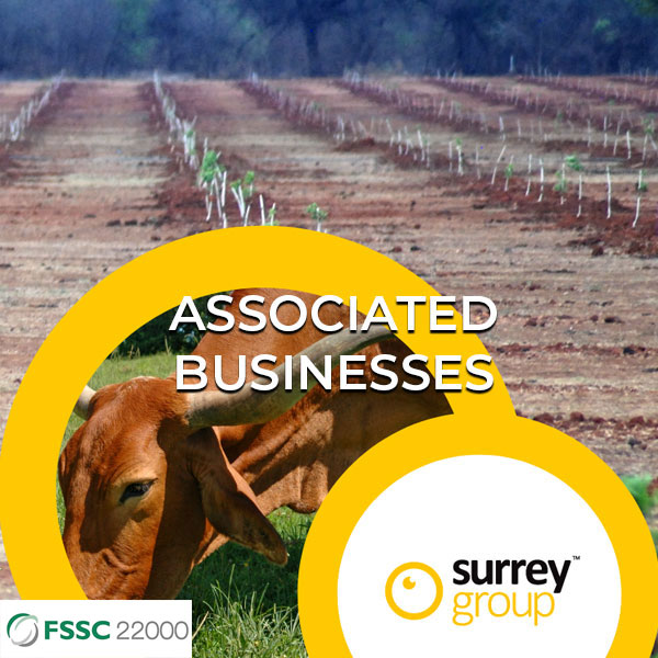 Our Divisions - Associated Businesses