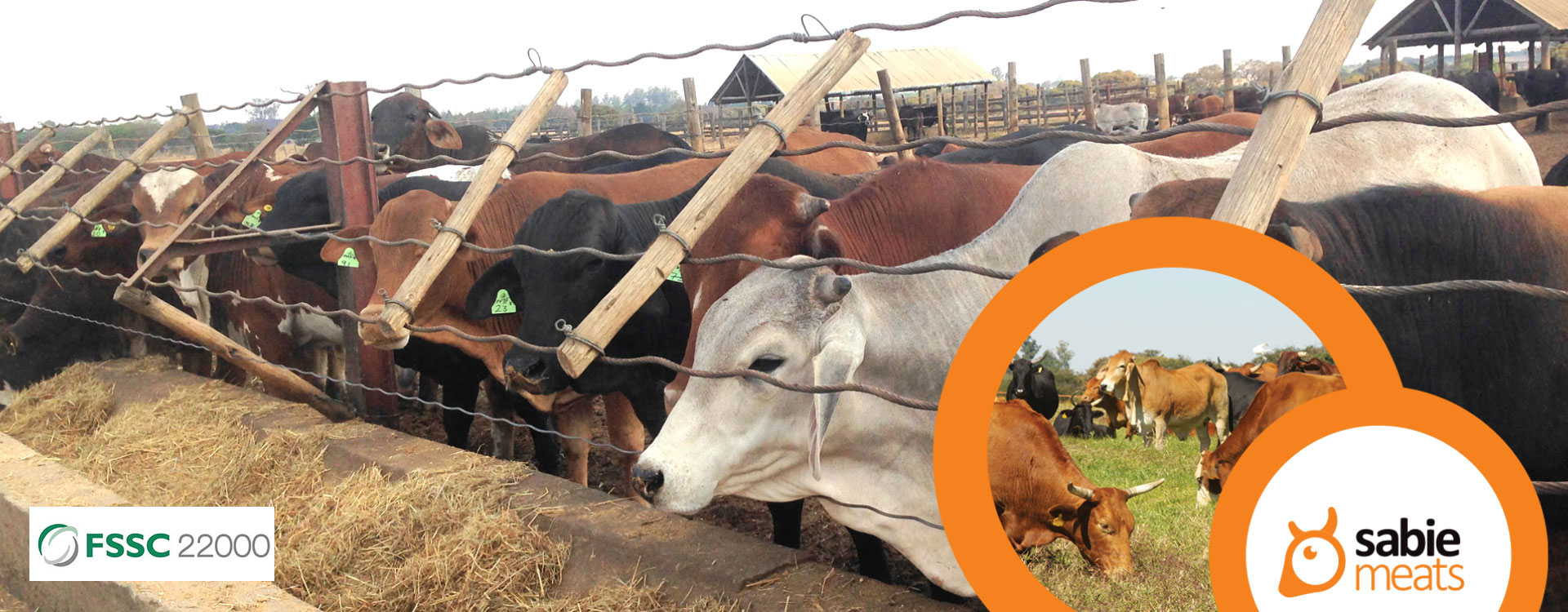 Our Divisions - Sabie meats